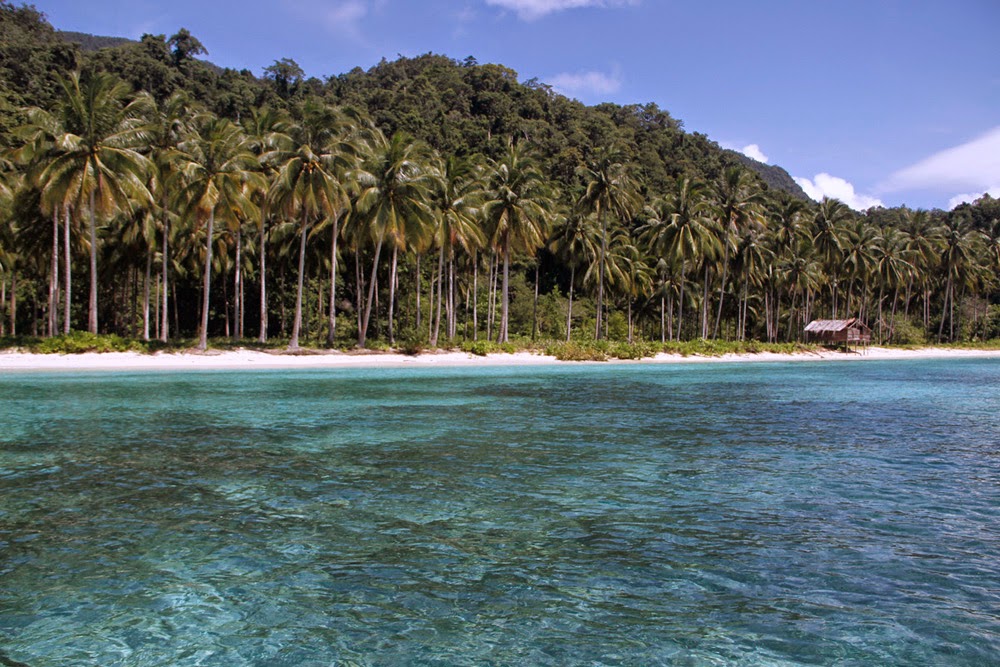 Welcome to Sulawesi~East Indonesia: Labengki Island, South East ...
