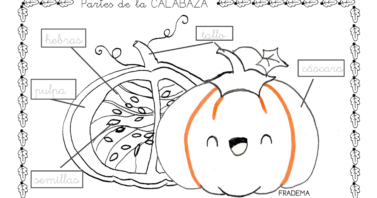 ¿Qué puedo hacer hoy?: Partes de la calabaza para repasar