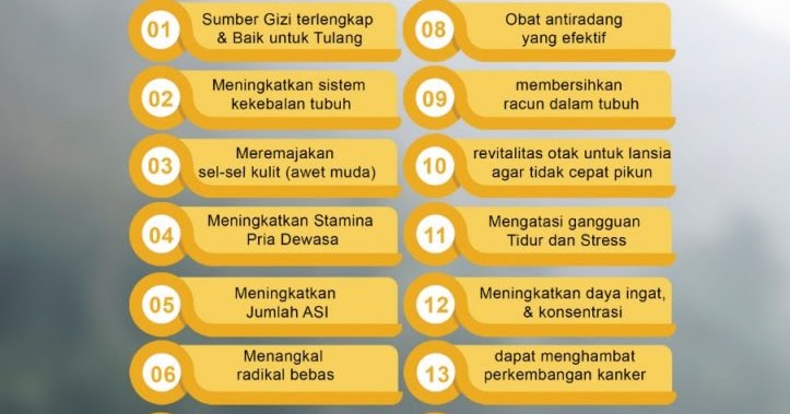 Habspro Propolis - BILQIS STORE PUSAT HERBAL TERBAIK 0852-6313-2825