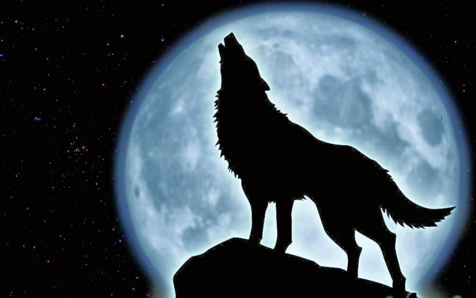 LaCalleDeLaRealidad: 2013