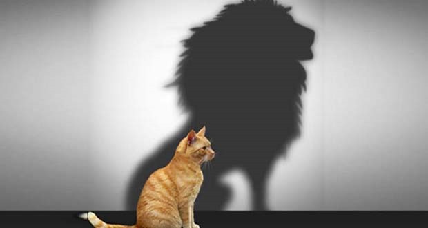 ΟΛΑ ΛΑΘΟΣ...: H ψευδαίσθηση της ενδοσκόπησης (introspection illusion)