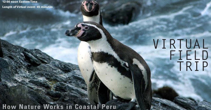 E is for Explore!: Coastal Peru Virtual Field Trip