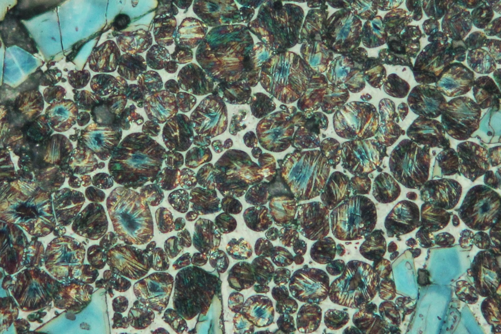 Cement clinker microscopy