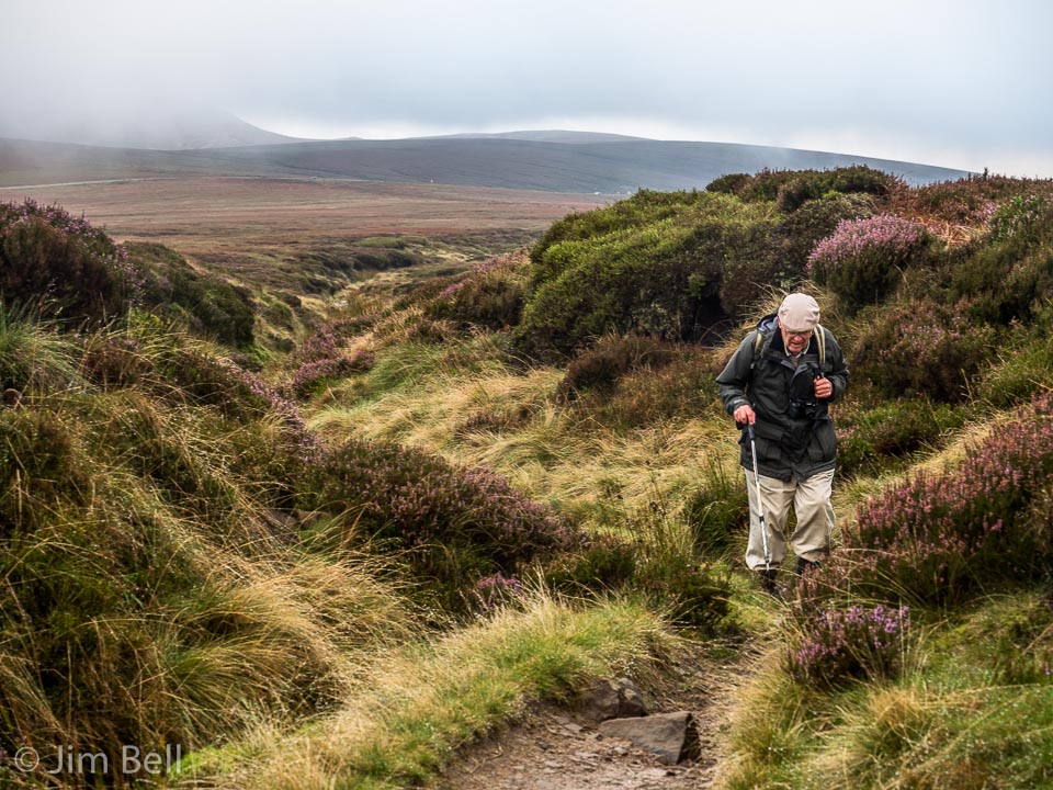Out & About: A trip up to Snake Pass