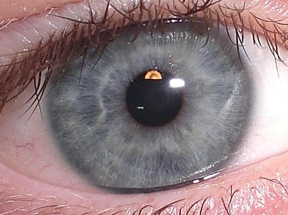 DEDUCIMOS: Los tipos de color de ojos