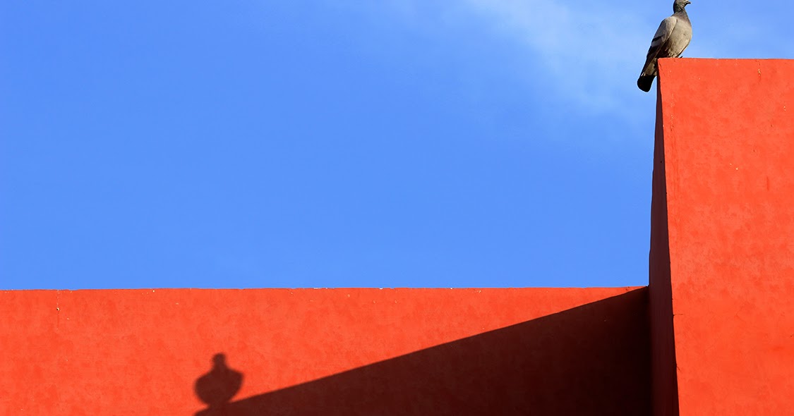 Minimalist Photography - by Prakash Ghai: Pigeon and its Shadow