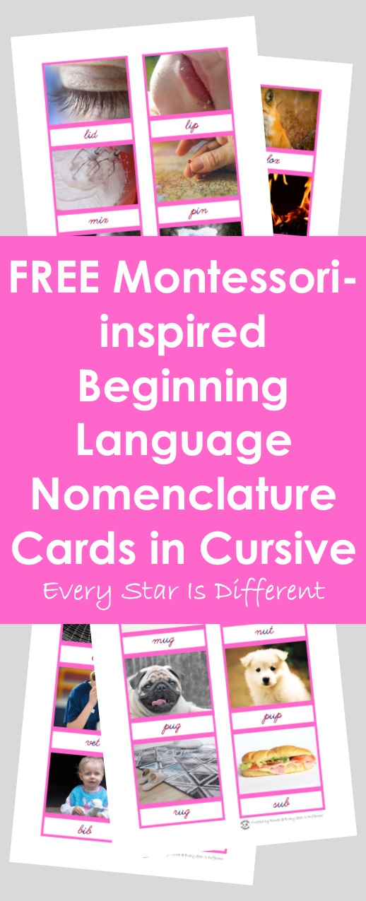 Montessori-inspired Pink Series/Beginning Language Nomenclature Cards ...