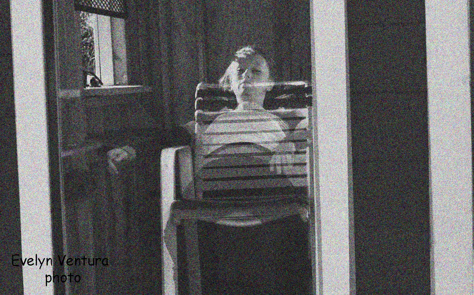 Ghost Photo Fast Shutter - CVHS Photography