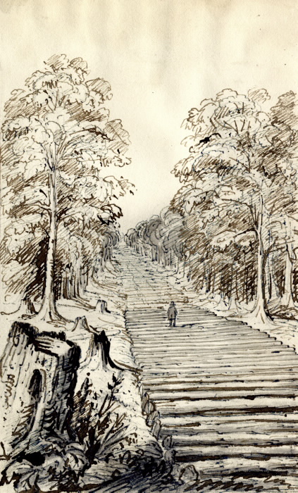 Seymour Valley Archaeology Project 2019: May 30th 2019 - Working in the ...