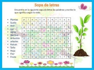 El Reino Vegetal