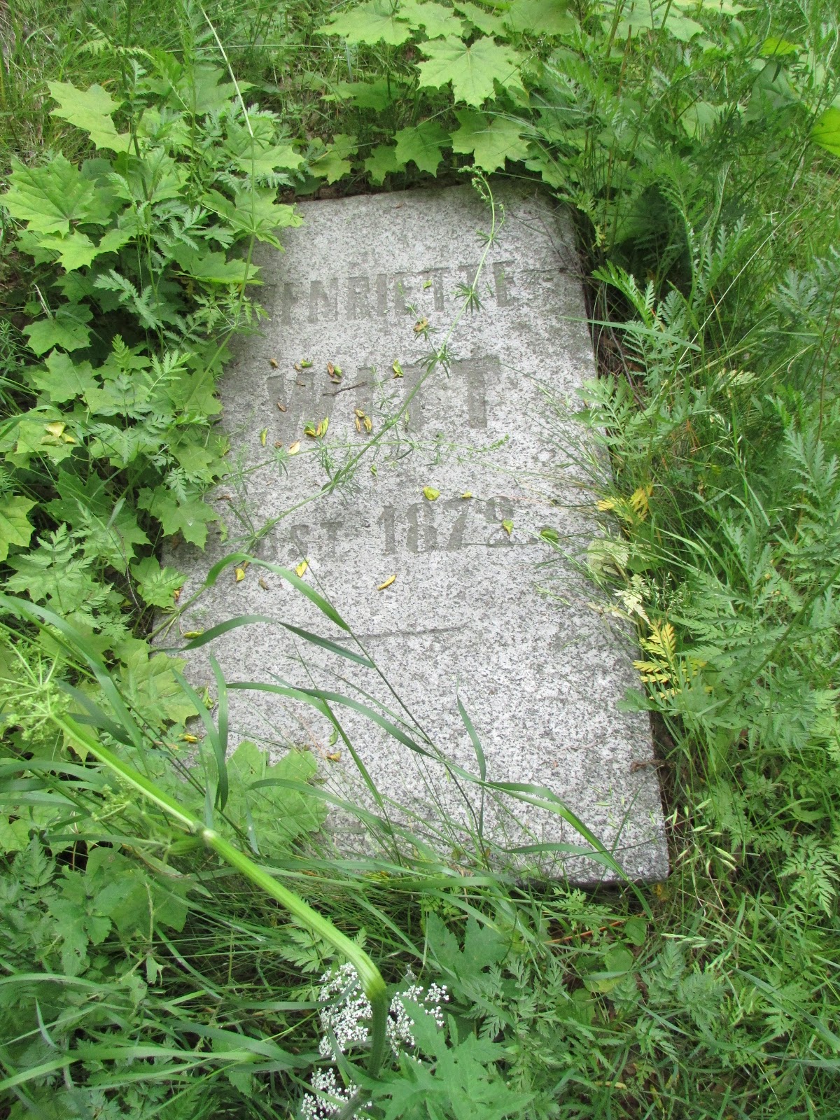 Willimiehen jäljillä: Viipuri / Ristimäen hautausmaa