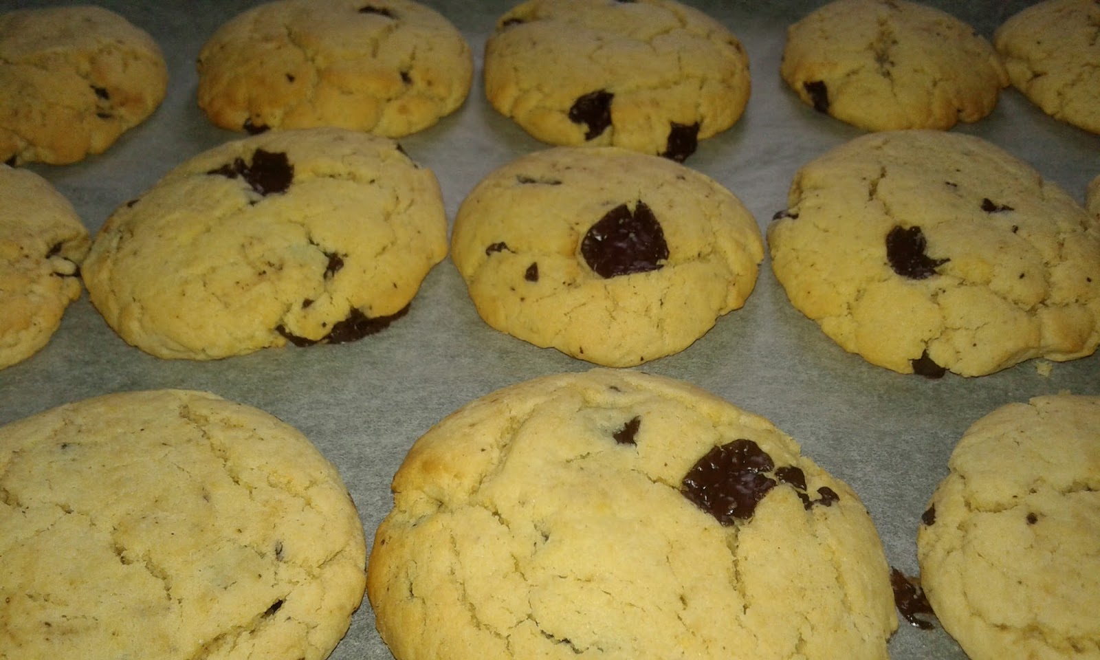 Afroditi's world: Cookies με σοκολατα και αλευρι χωρις γλουτενη