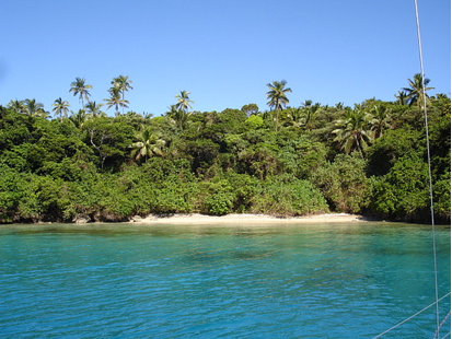 Tongan Tropical Moist Forests: Forest Cover