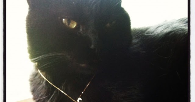 Catsparella: Cat Lady Love For Cleo The Cat Charm