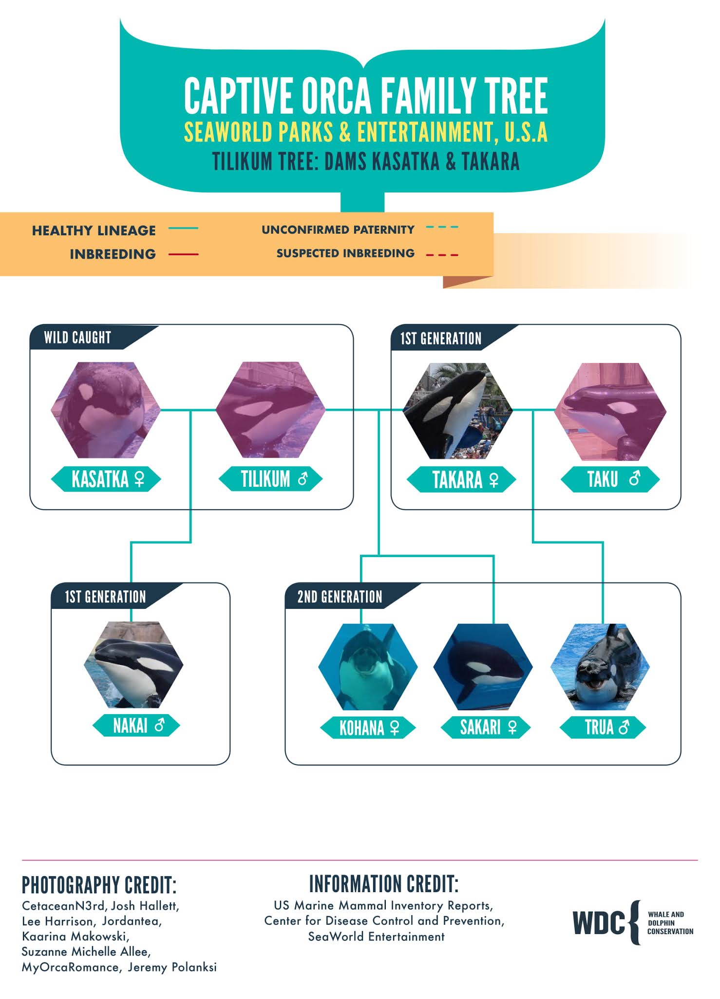 Orcas del mundo, en cautiverio