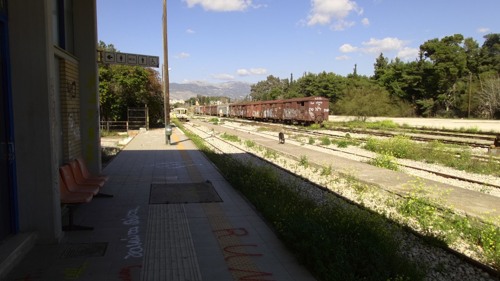 Αθήνα: Ο σταθμός-φάντασμα του ΟΣΕ στους Αγίους Αναργύρους (PHOTOS ...