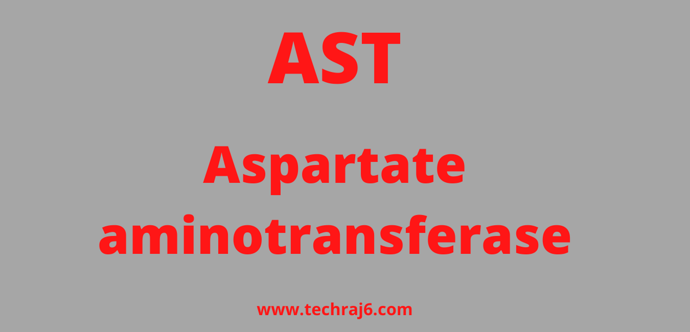 AST full form, What is the full form of AST