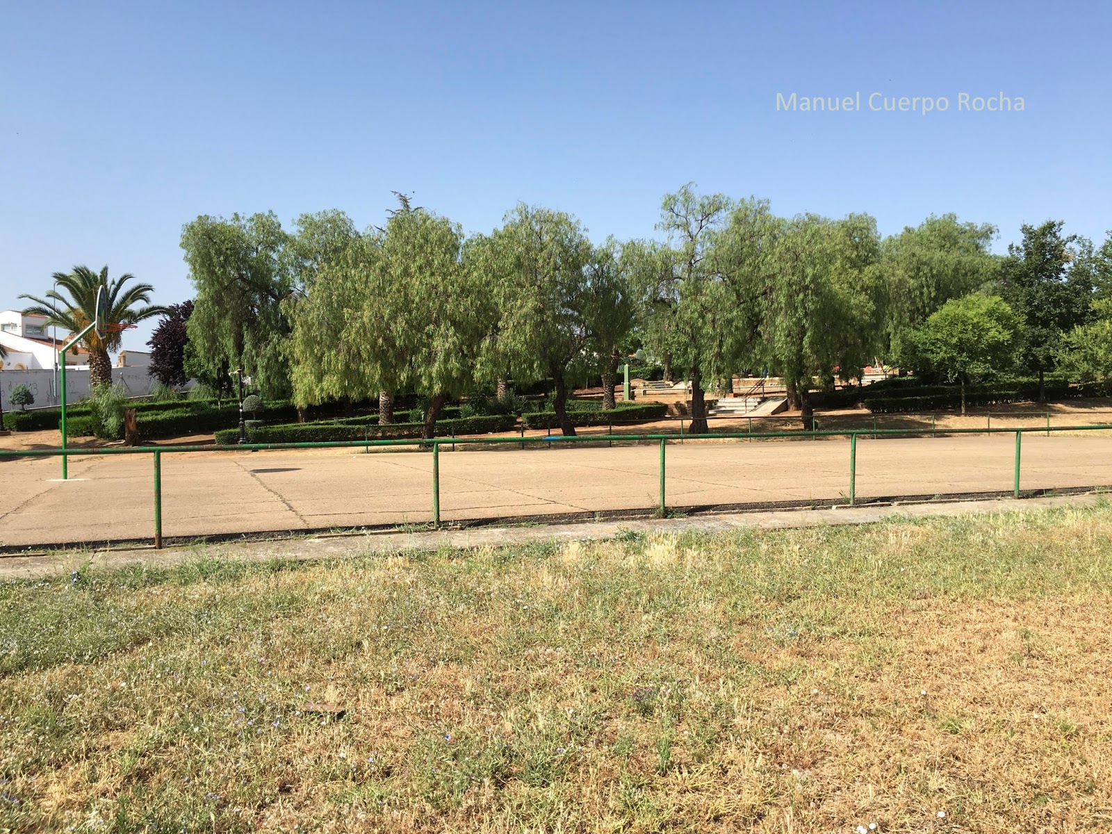 PARQUE MUNICIPAL DE MONTIJO: 5.PARQUE MUNICIPAL. ORNAMENTOS E ...