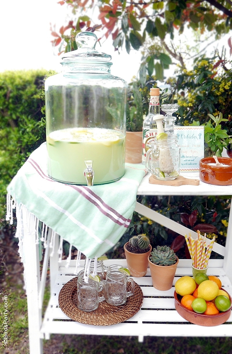 A DIY Mojito Bar with Recipe & Free Printables - Party Ideas | Party ...