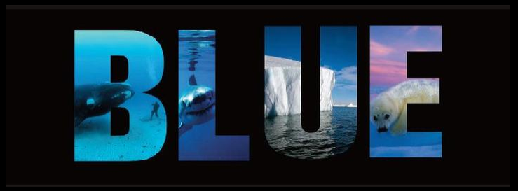 RTSea Blog: observations on oceans, sharks and nature: BLUE: combining ...