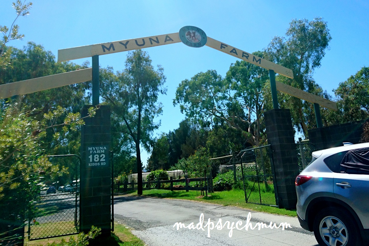 MadPsychMum | Singapore Parenting + Travel Blog: Melbourne II Day 4 ...