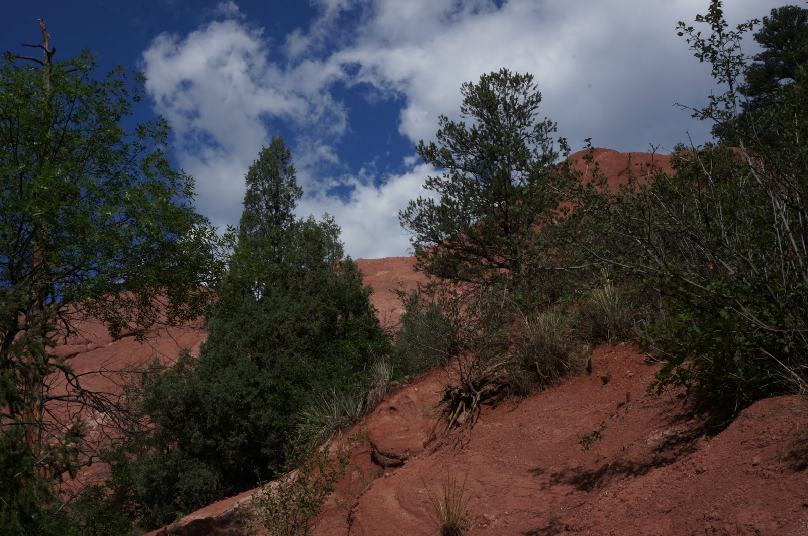 Through the Lens: Red Rock Canyon Open Space, Colorado Springs