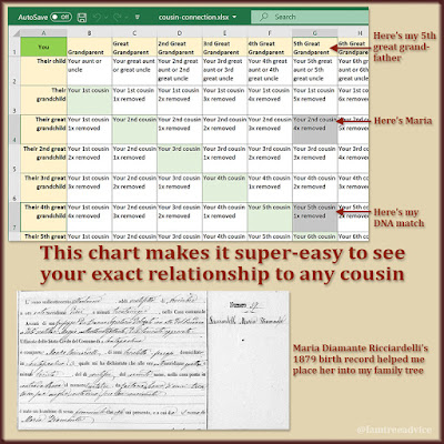 Fortify Your Family Tree: How to Find Your Exact Relationship to Any Cousin