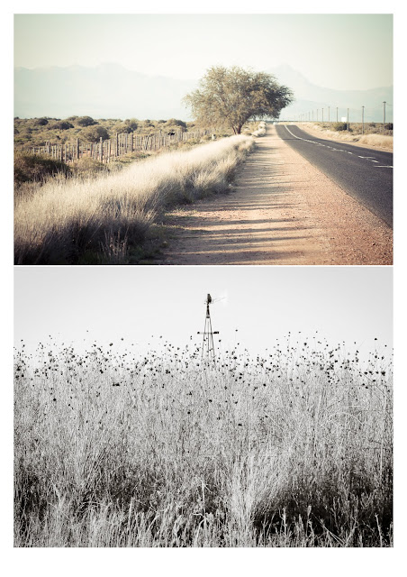 susie leblond photography: Wide open spaces