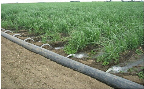 Sistem pengairan atau irigasi permukaan lahan ~ Teknelogi & Informasi ...