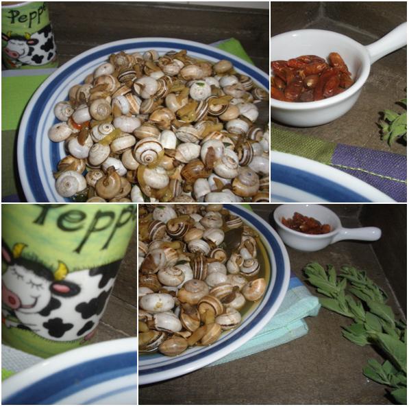 Sonhos de canela: Na senda dos caracóis