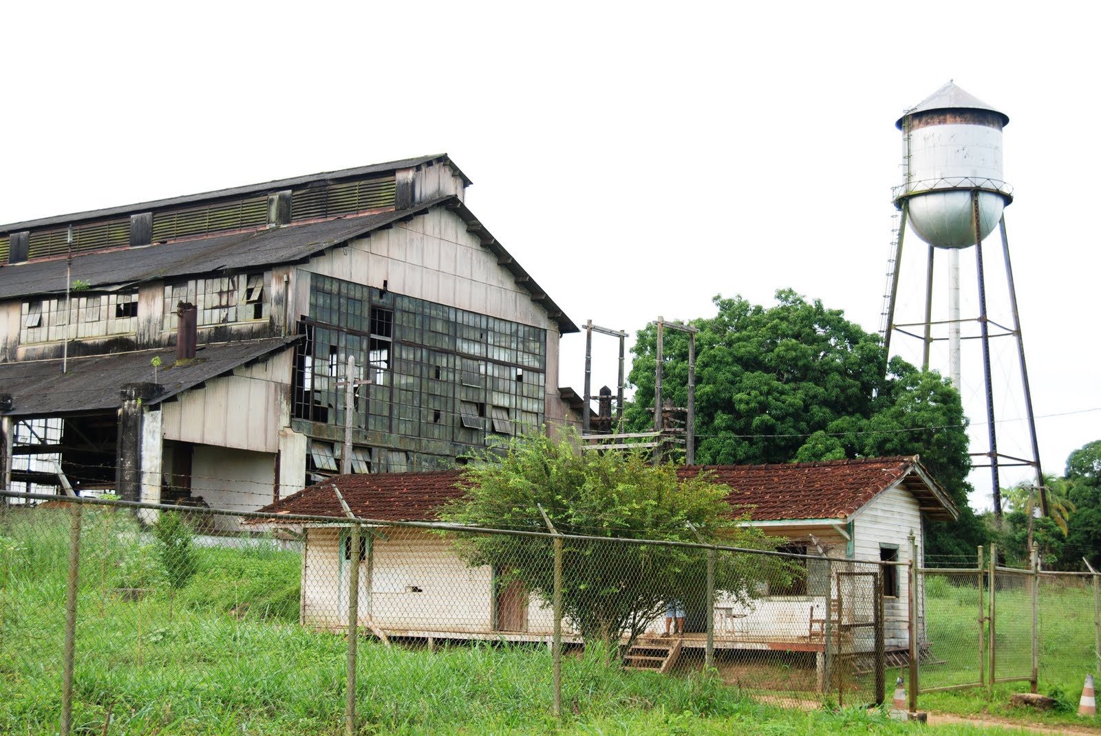 Wildlife, History and Adventure In the Amazon: Post Fordlandia Documentary