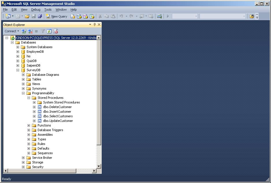 How to Generate Stored Procedure Automatically From Visual Studio - The ...