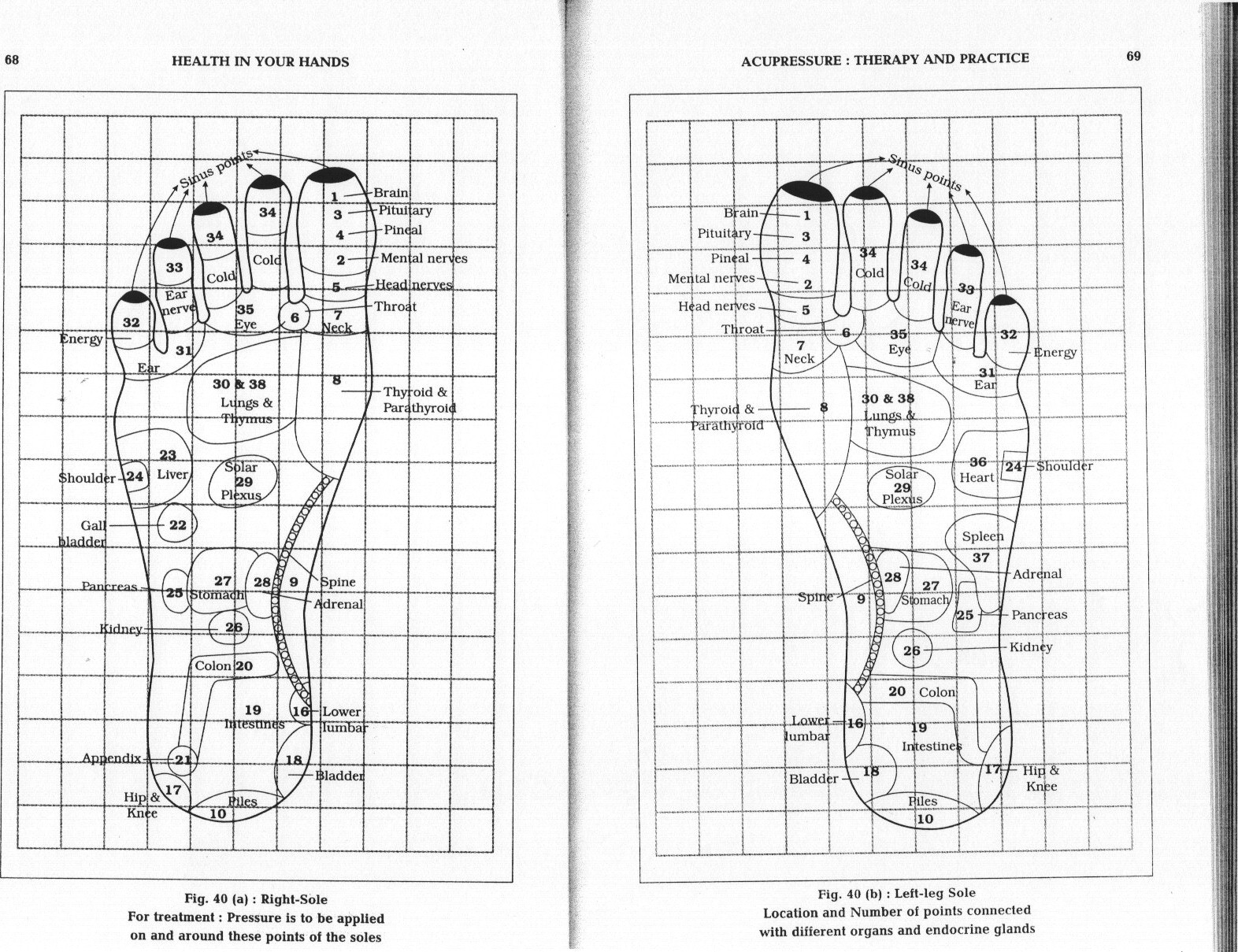 Simple Living, Higher Thinking: August 2013