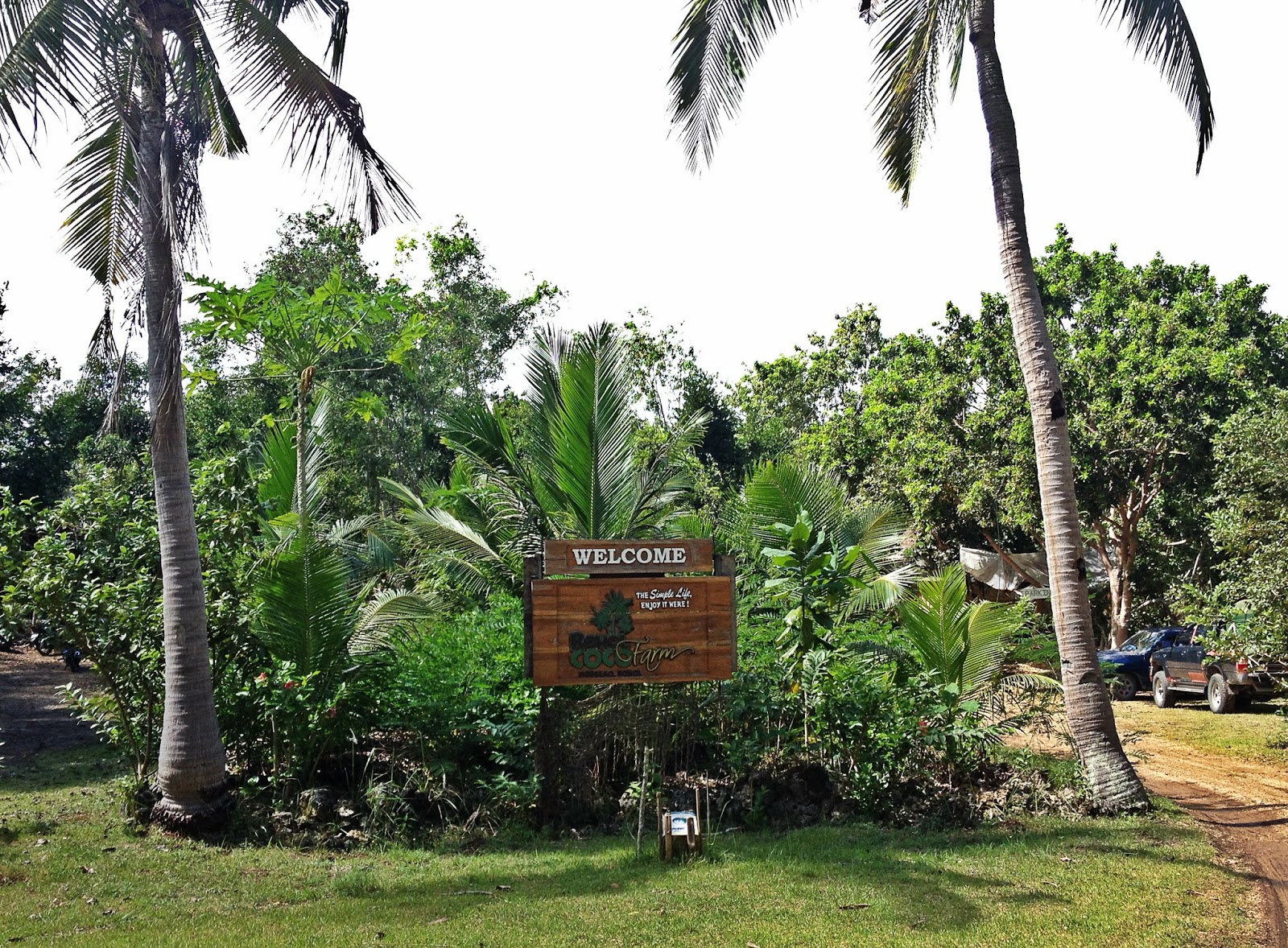 Oh My Gee Its Me! : Bohol Coco Farm Experience