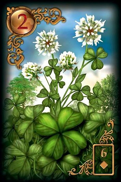 Lenormand Card Clover Meanings Combination Oracle Readings Lenormand ...