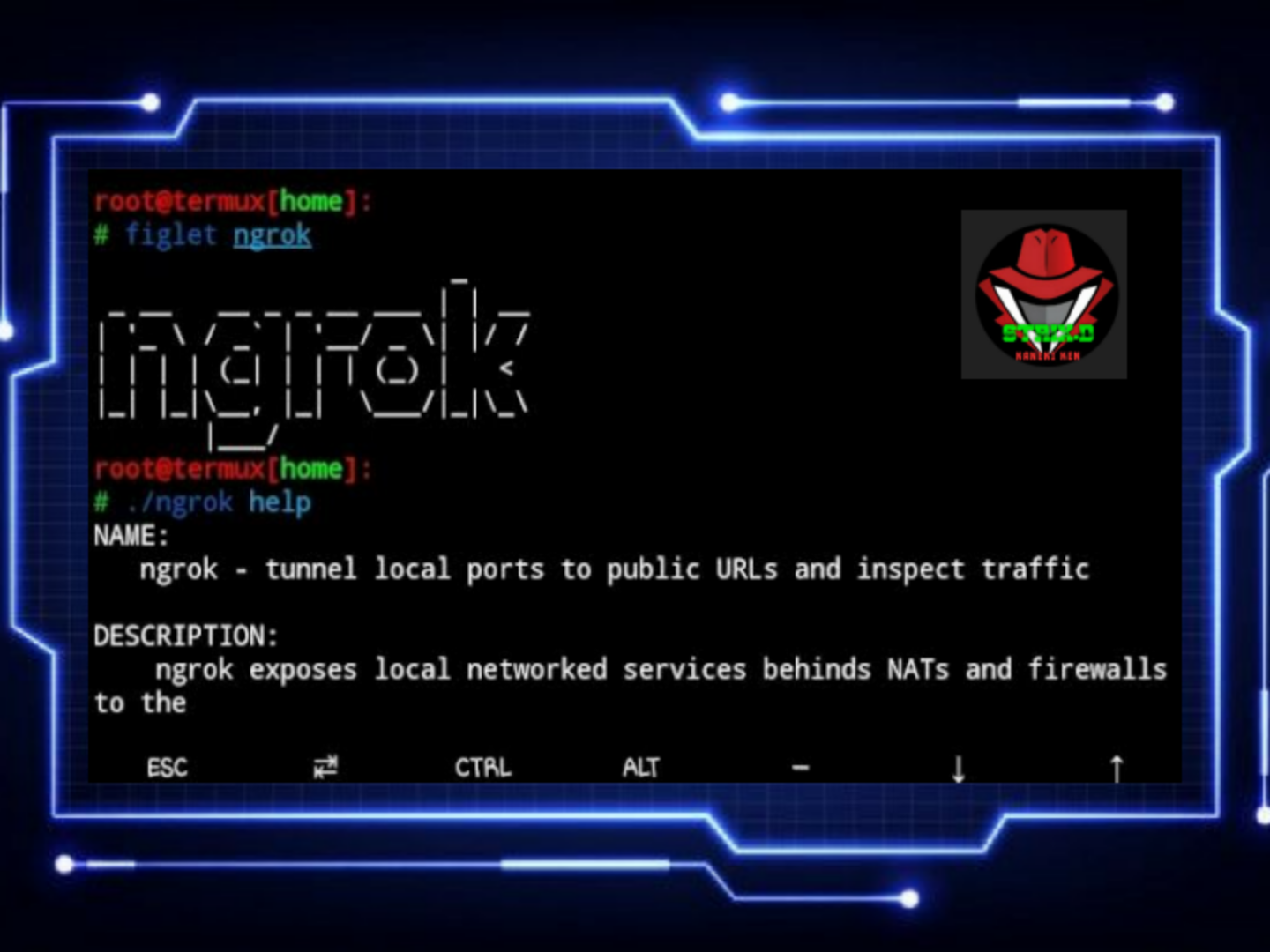NGROK Installation In Termux STRIX D ngrok-installation-in-termux-strix-d