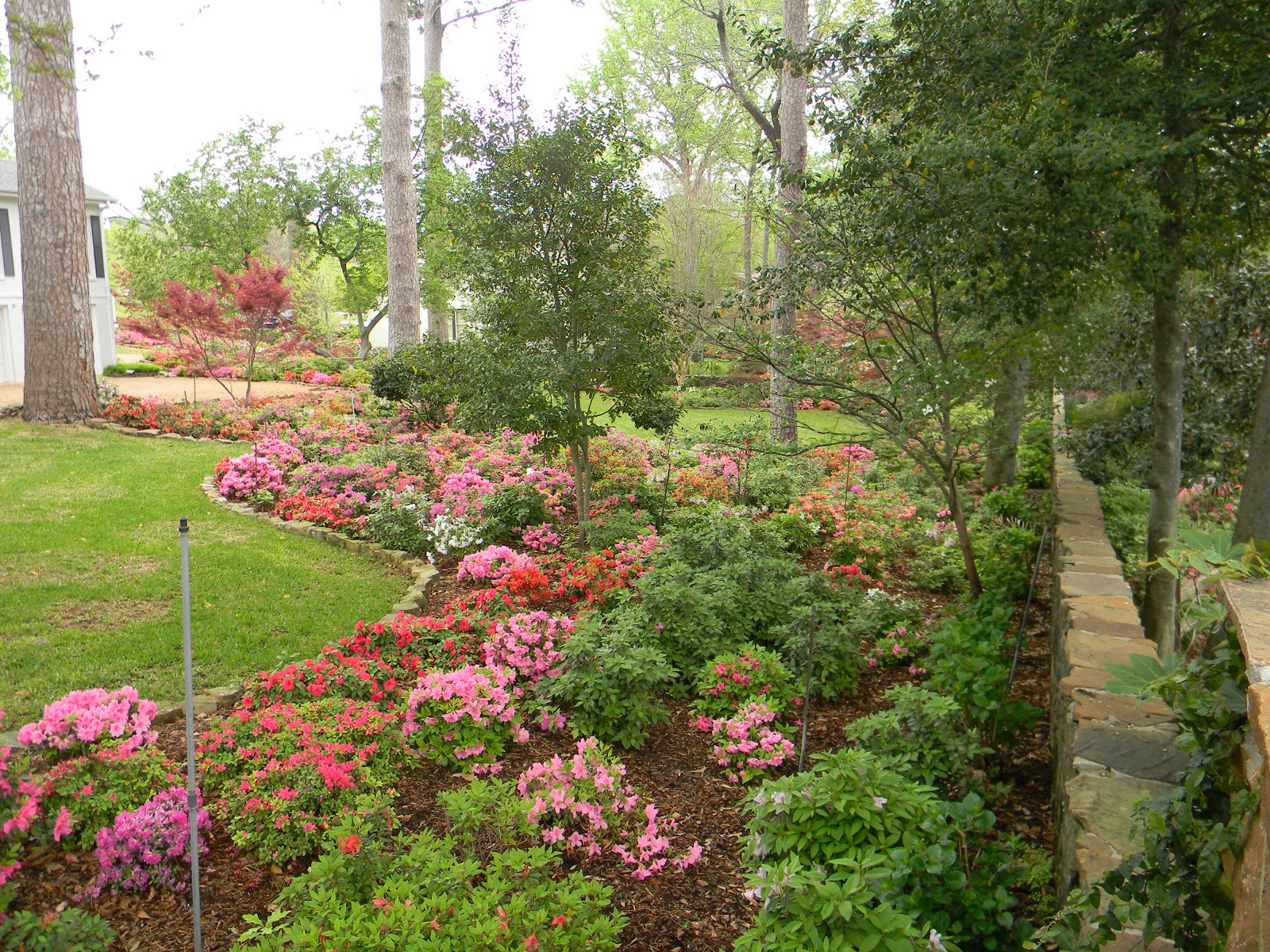 RVFulltimingLove: Tyler Azalea Trail, Tyler, Tx