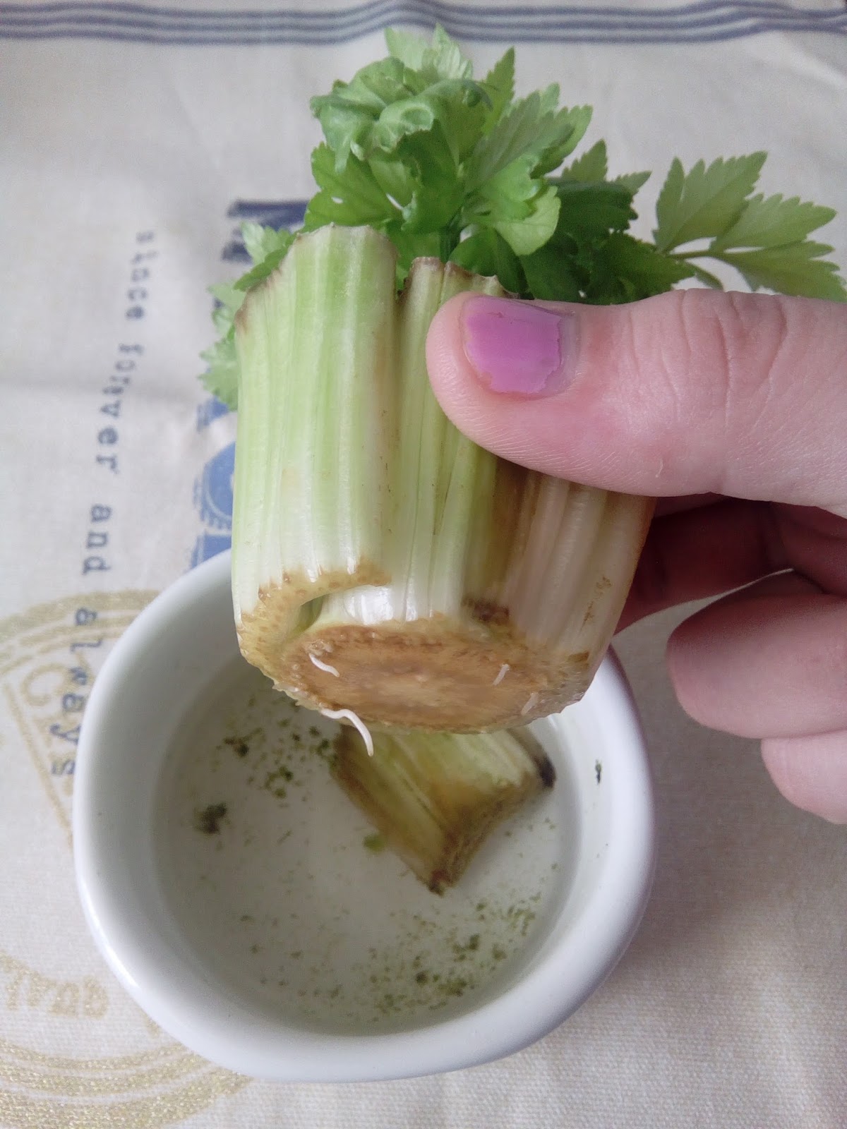 Eni's Kitchen: El Apio y como aprovechar cada parte de la planta ...