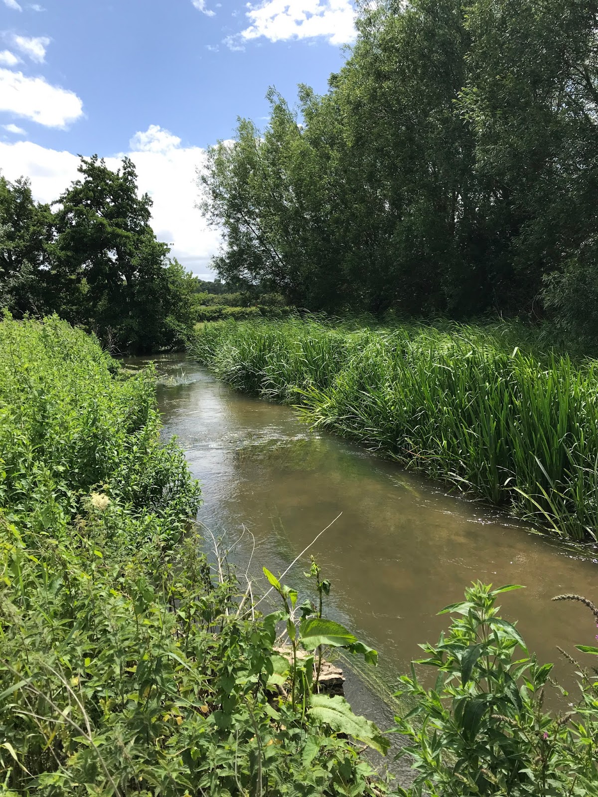 Lower Windrush Valley Project: Walking in the Lower Windrush Valley ...