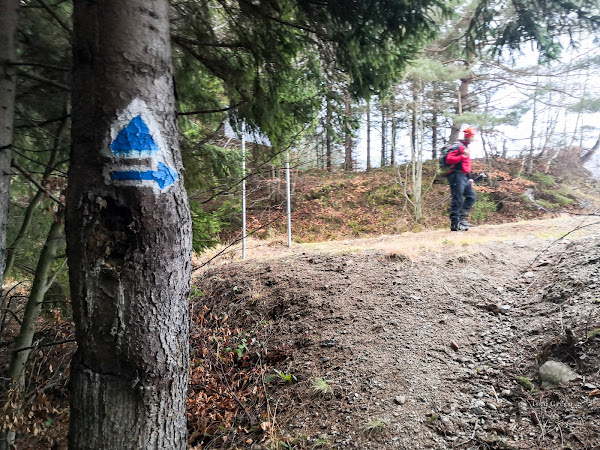 Varful Prejba - Cabana Prejba. Muntii Lotrului ~ Jurnal de drumetii