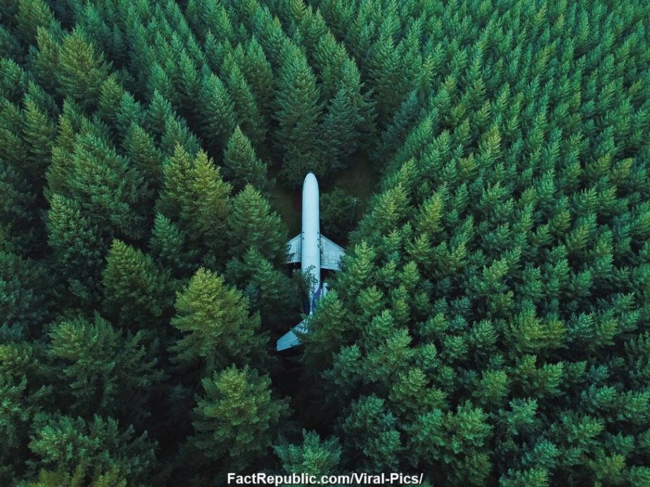 Hella Heaven: Viral pictures: Boeing 727 house in the woods