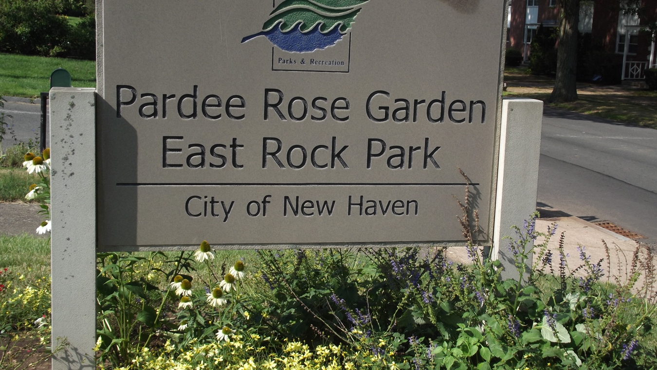 PARDEE ROSE GARDEN