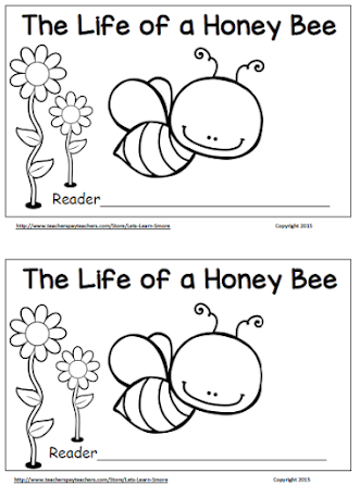 Let's Learn S'more!: The Life of a Honey Bee Activities
