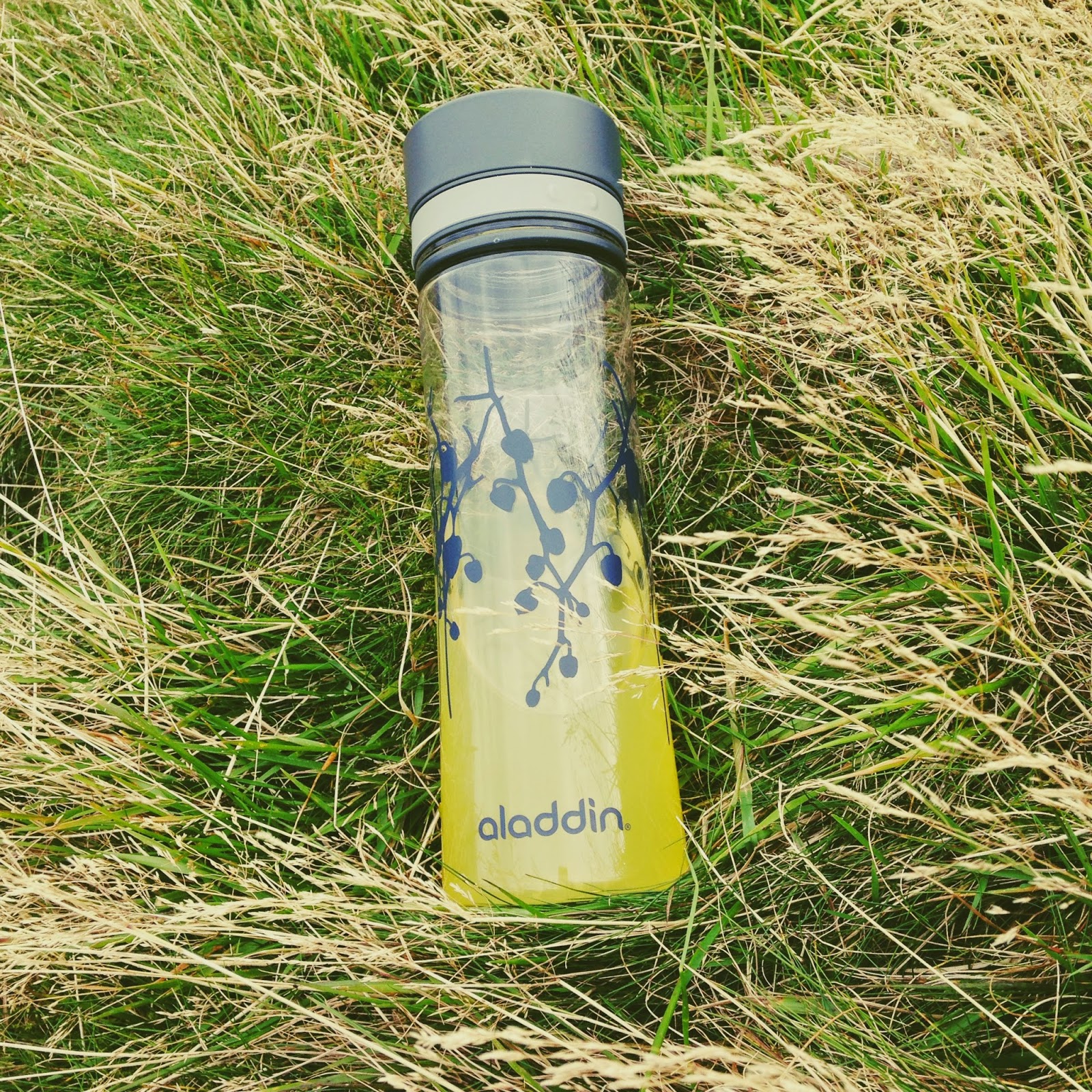 i've got love for the mountains: · Aladdin PMI Flask Review