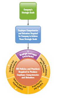 Human Resource Experience: Strategic Human Resource Management (Gary ...