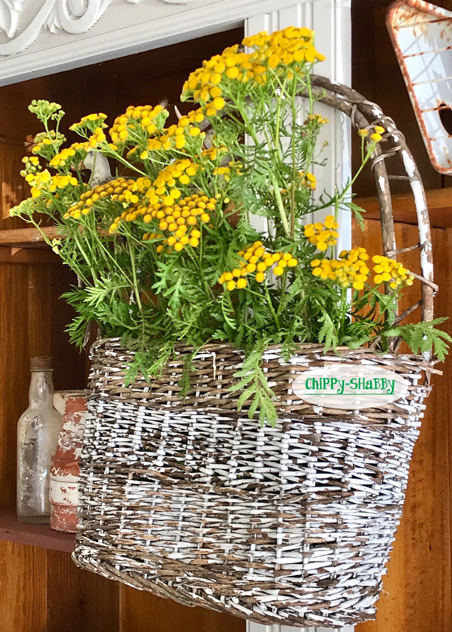 ChiPPy! - SHaBBy!: ~*Dried FALL Decor* in ViNtaGe Containers*~