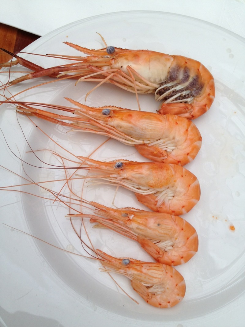 Wild piggy travel the world: New Zealand - Day 4: Taupo, Palmerston ...