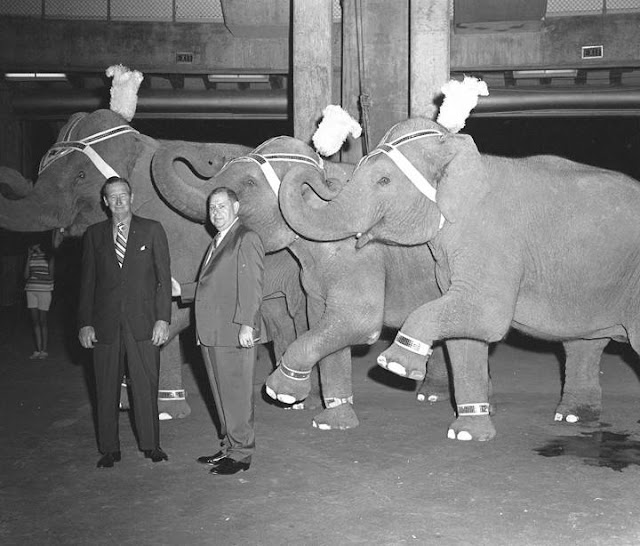 Alabama Yesterdays: When the Circus Came to Town