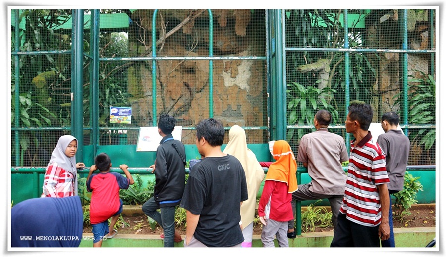 Jalan-Jalan Seru Ke Kebun Binatang Ragunan Bersama Keluarga - Kata ...