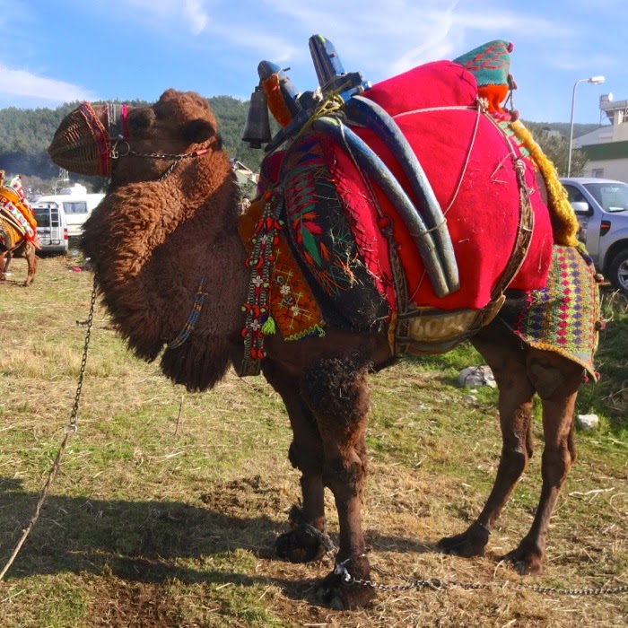 The Most Surreal of Five Weeks of Travel - Ever Changing Scenery